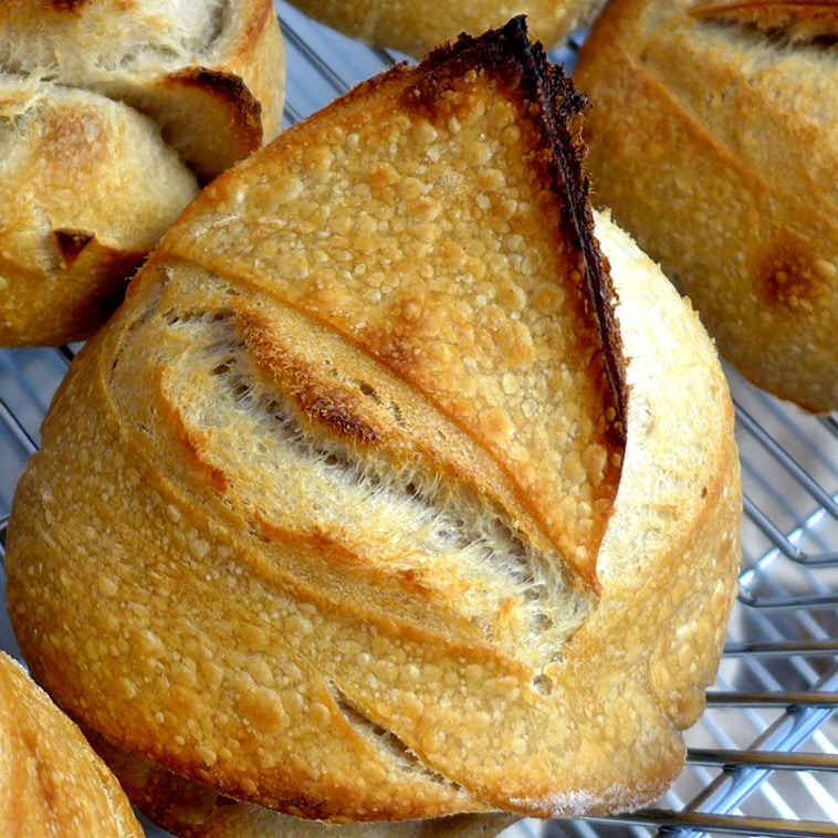 From Sonic Marvel to Sourdough Legend... - Theta Sound Studio